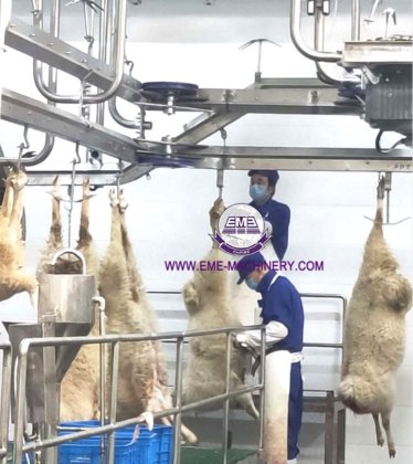 Live Sheep Halal Slaughterhouse Equipment Goat Killing And Bleeding ...