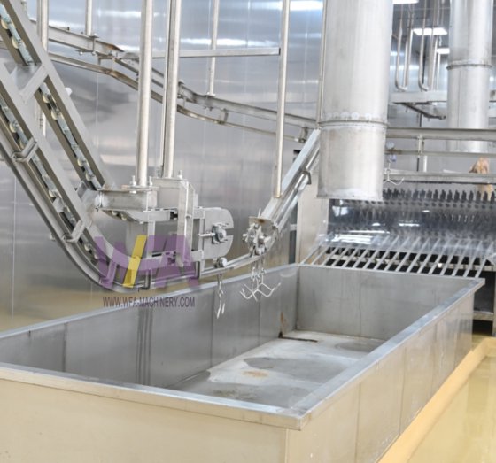 OEM Pig Killing Machine Sow Scalding Tank For Pig Slaughterhouse ...