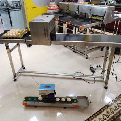 Chinese handcraft egg printing machine manual/surprise egg printing ...