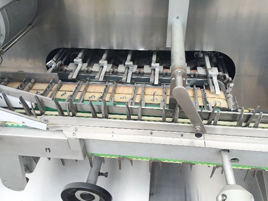 IMA Dynamica Horizontal Cartoner in Chouf, Lebanon