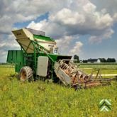 Used Bean Pickers for sale. BOB equipment & more | Machinio