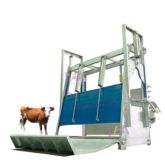 Used Cattle Stunning Kill Box For Cattle Slaughterhouse for sale. Top ...