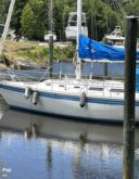 Used 40 Ft Cruisers For Sale for sale. Sea Ray equipment & more | Machinio