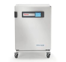 Used Thermo Fisher Scientific Heracell VIOS 250i Incubator for sale in ...