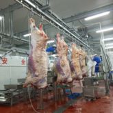 Used Small Cattle Abattoir Slaughter House Design for sale. ZBHT ...